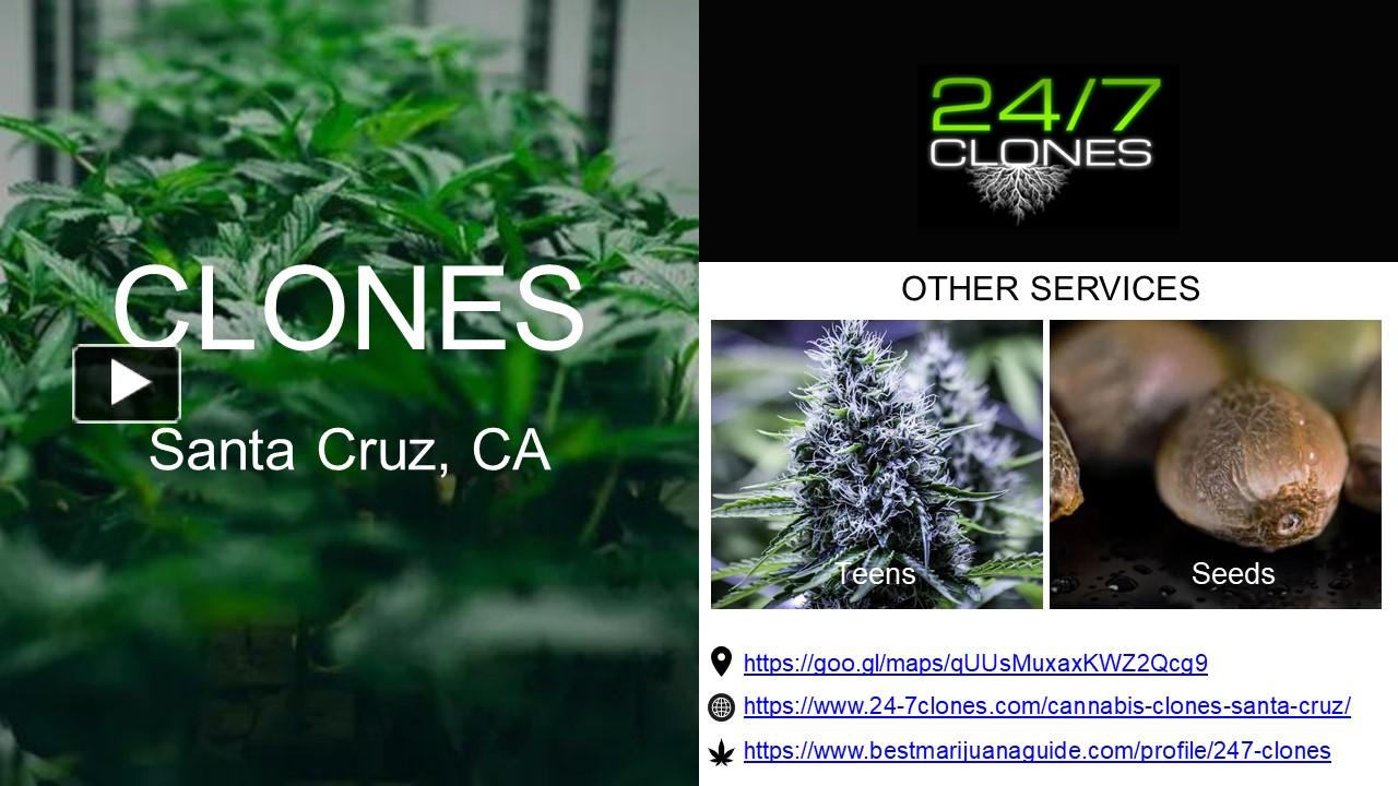 PPT – Clones Santa Cruz, CA PowerPoint presentation | free to download - id: 9778b8-ODQ3N