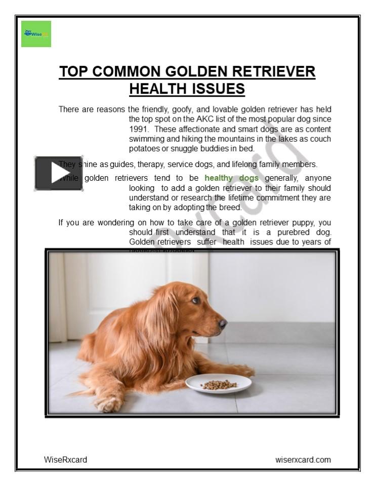 PPT – Top Common Golden Retriever Health Issues PowerPoint presentation | free to download - id ...