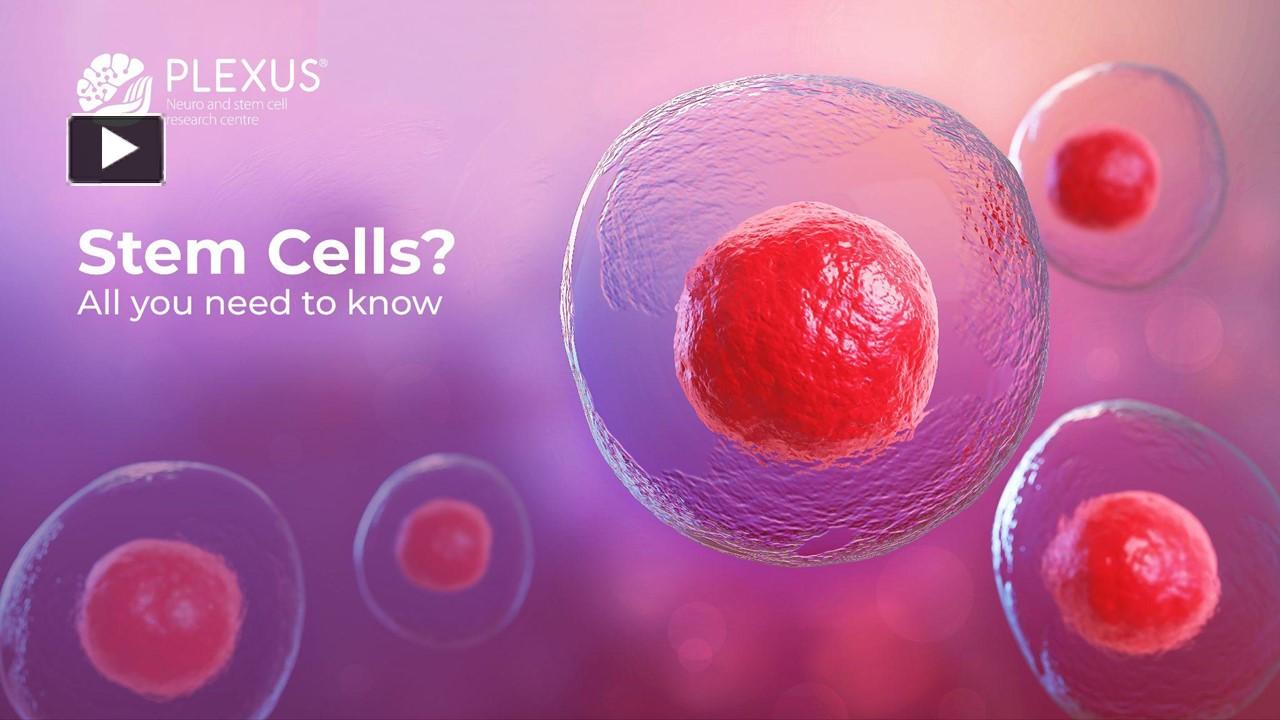 Stem Cells_ All you need to know presentation | free to view