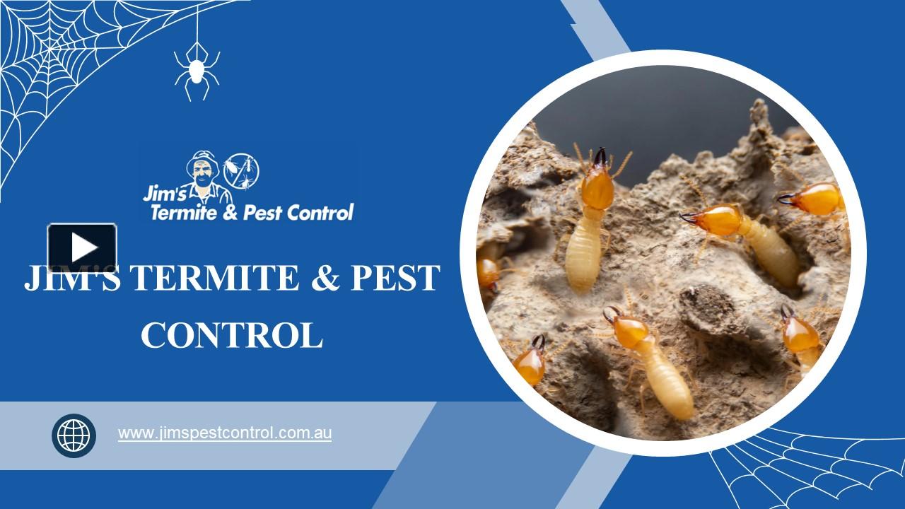 PPT – Effective Pest Control Solutions by Jim's Pest Control PowerPoint presentation | free to ...