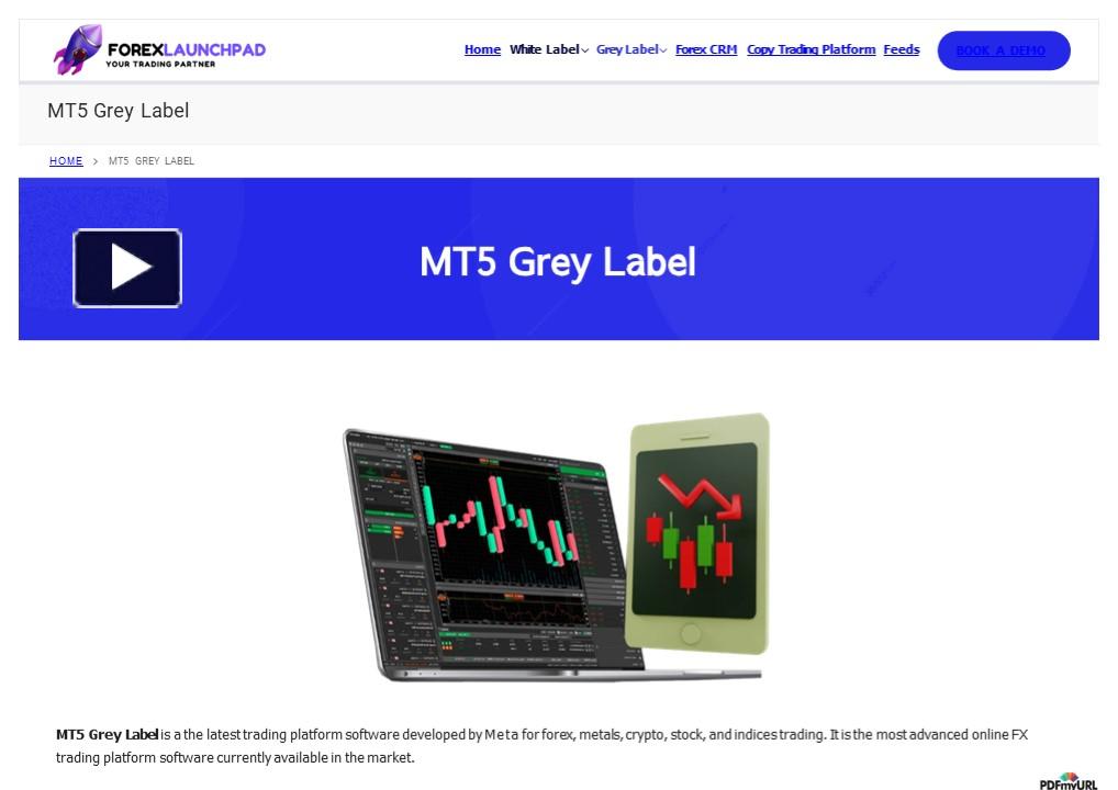 Mt5 grey label solution presentation | free to download