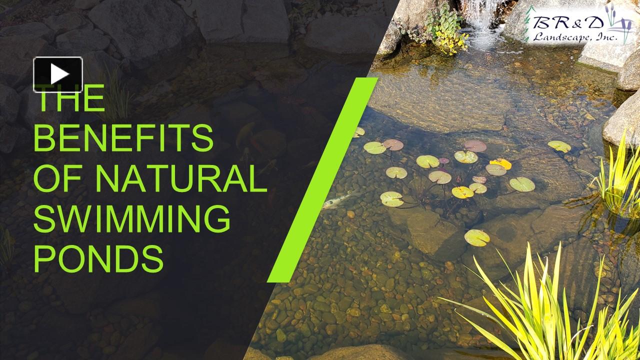The Benefits of Natural Swimming Ponds presentation | free to download