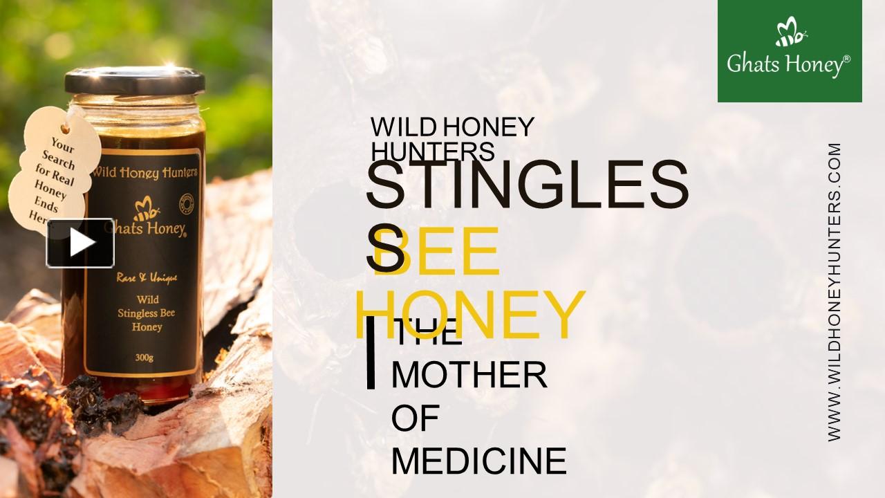 PPT – Wild Stingless bee honey from Wild honey hunters PowerPoint presentation | free to ...