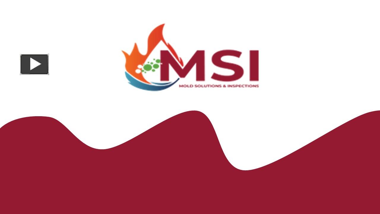 PPT – MSI Offers Professional Mold Inspection Services PowerPoint presentation | free to ...