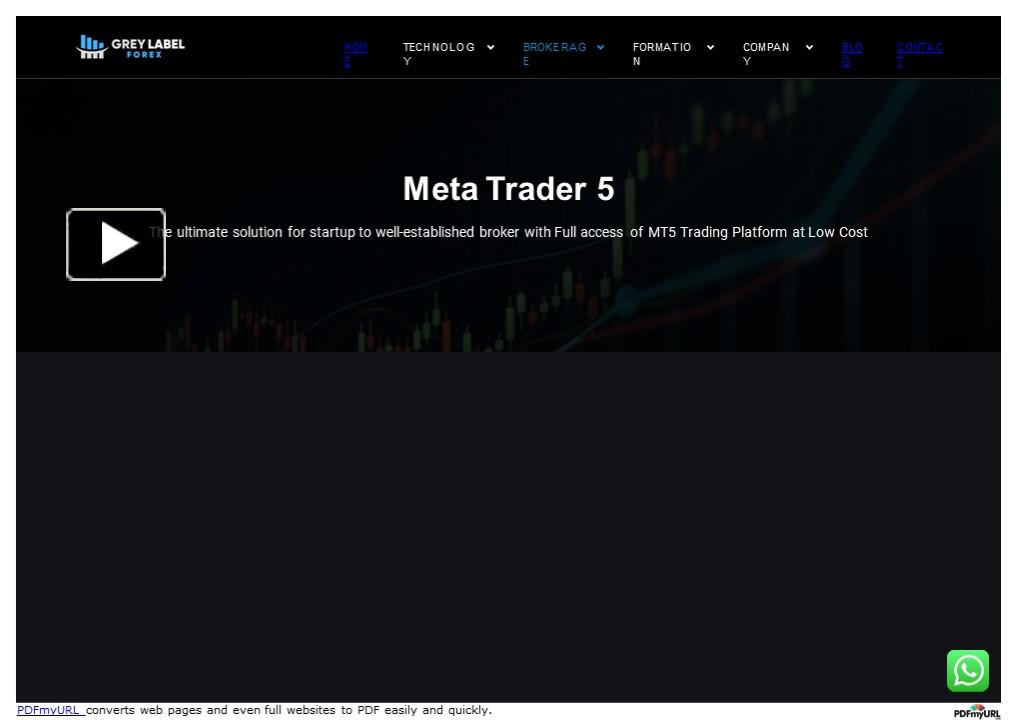 Meta Trader 5 presentation | free to download