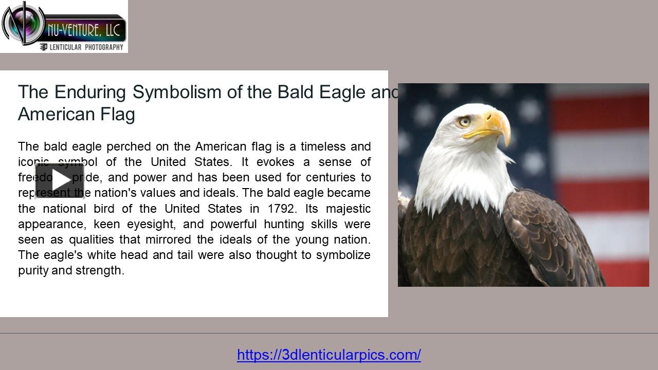 PPT – Artistic Renditions: Bald Eagle on the American Flag Masterpieces ...
