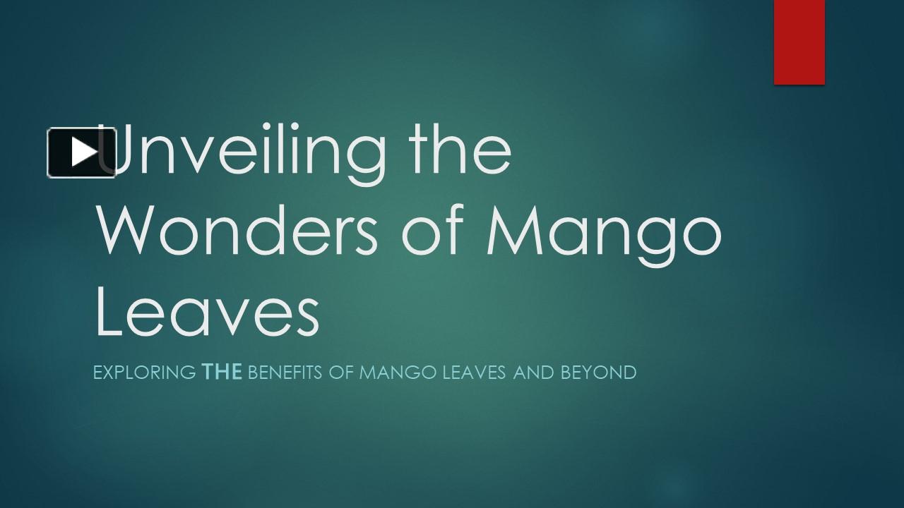 PPT – Unveiling the Dried organic mango leaves PowerPoint presentation | free to download - id ...