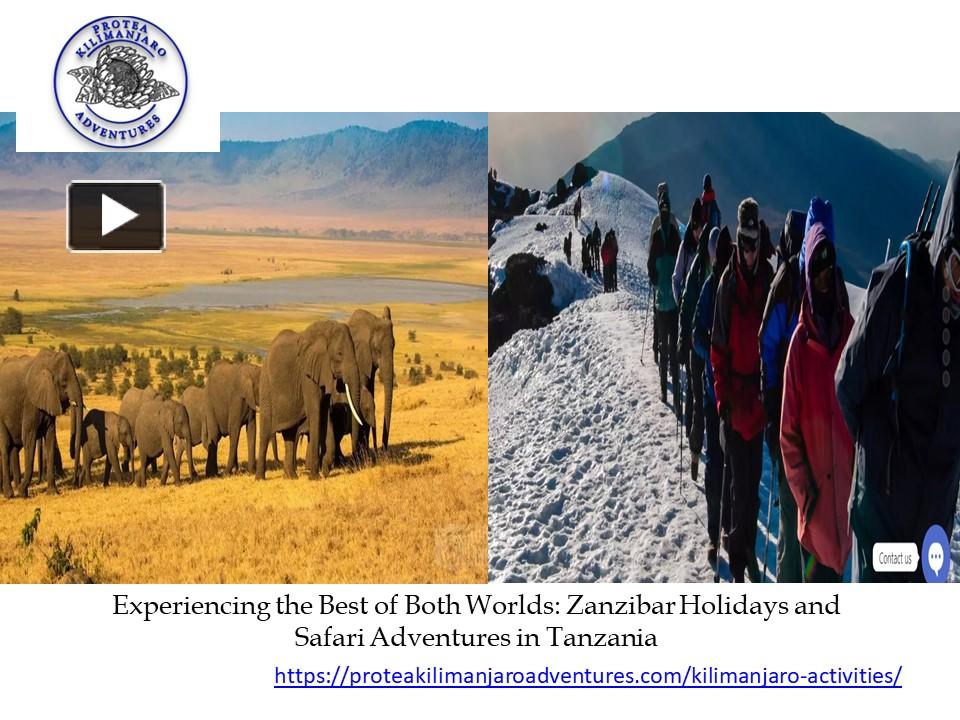 PPT – Experiencing the Best of Both Worlds: Zanzibar Holidays and Safari Adventures in Tanzania ...