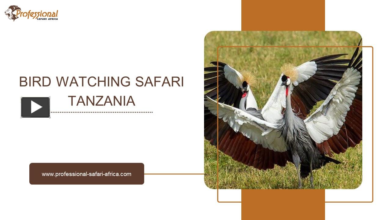 PPT – Bird Watching Safari Tanzania PowerPoint presentation | free to download - id: 9877f3-MDk3O
