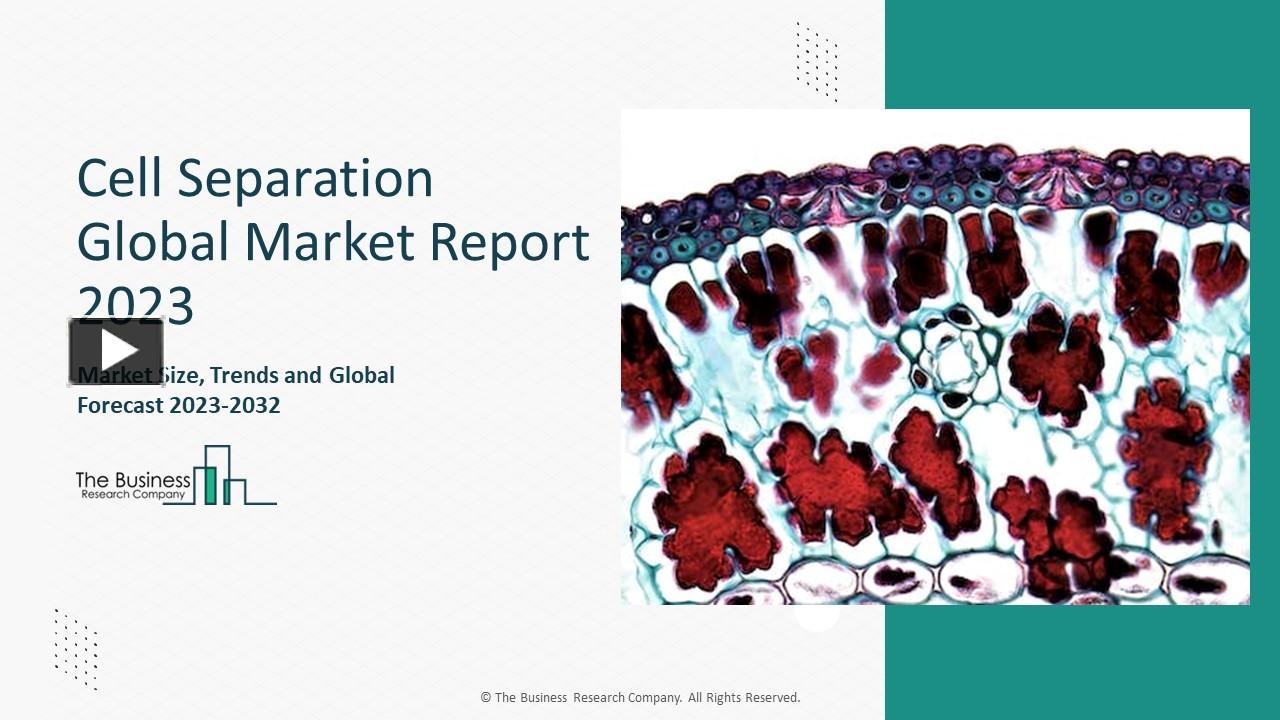 PPT – Cell Separation Market Report, Outlook, Research, Forecast To 2024-2033 PowerPoint ...