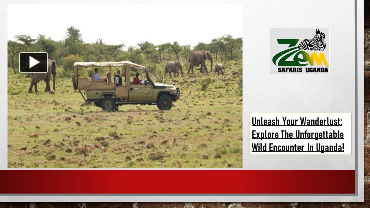 PPT – Unleash Your Wanderlust Explore The Unforgettable Wild Encounter In Uganda! PowerPoint ...