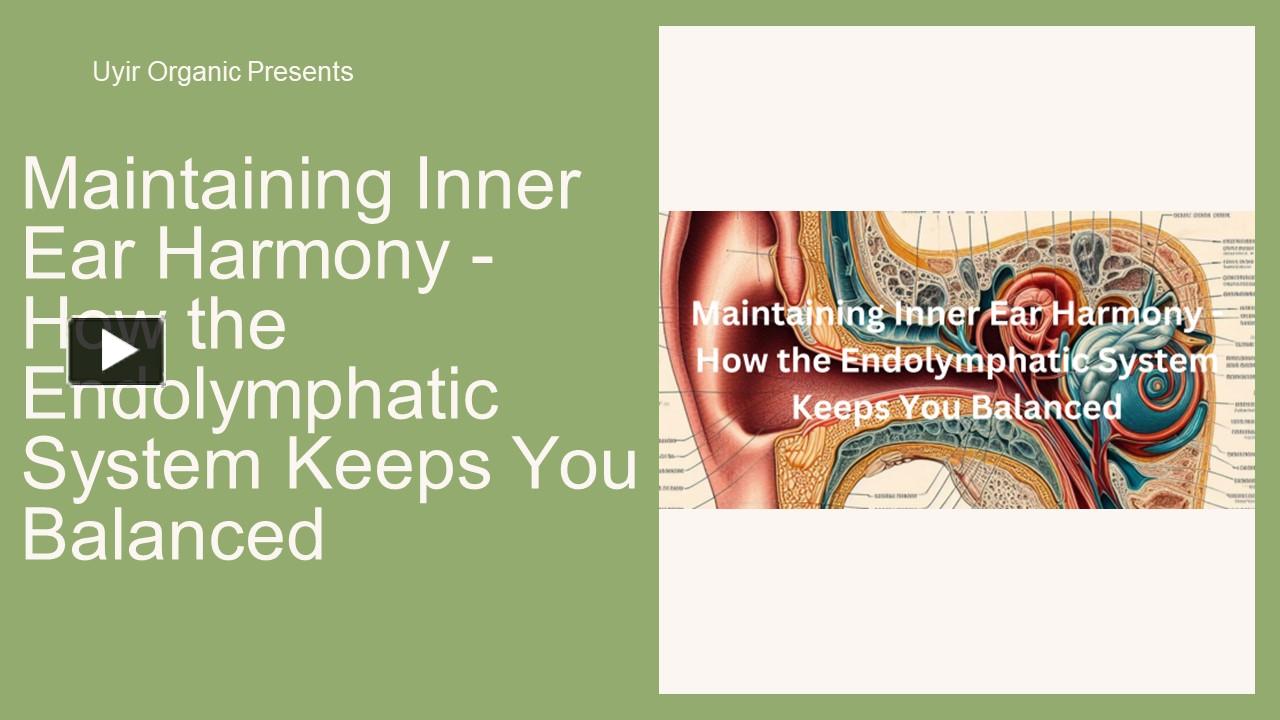 Maintaining Inner Ear Harmony - How the Endolymphatic System Keeps You ...