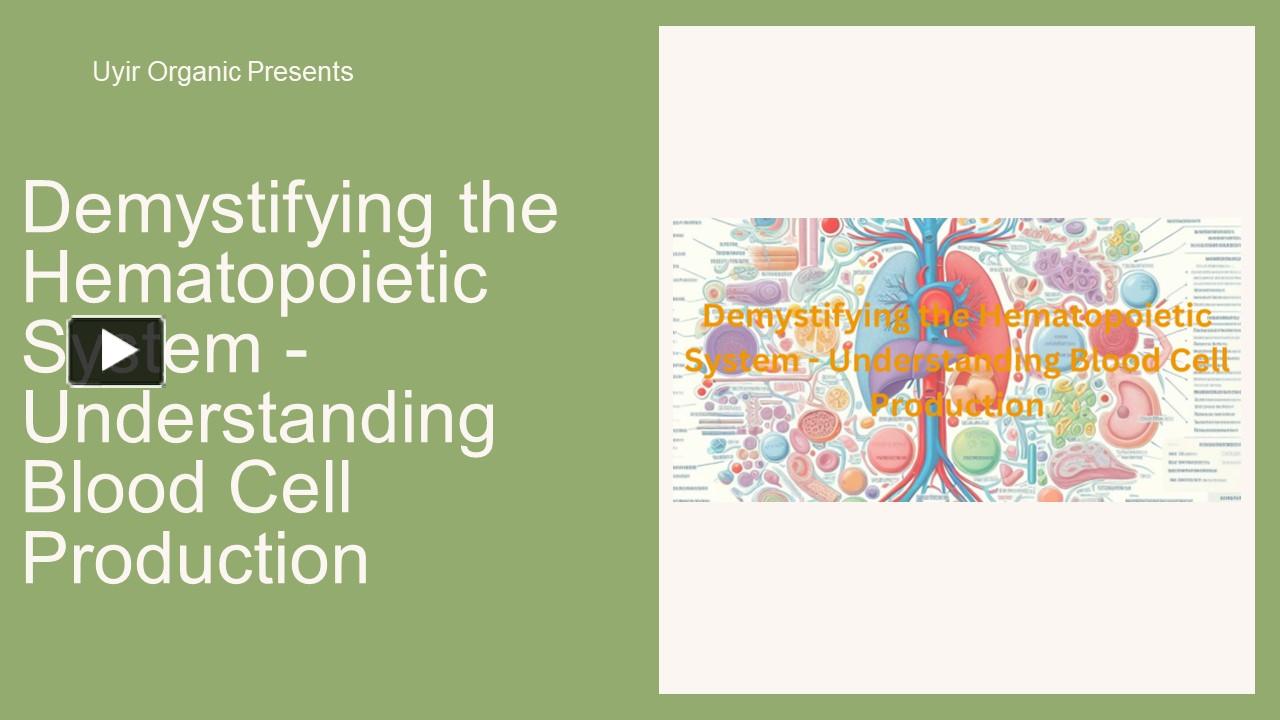 PPT – Demystifying the Hematopoietic System - Understanding Blood Cell Production PowerPoint ...