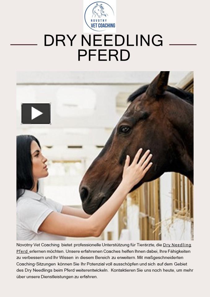 PPT – Dry needling Pferd | Novotny Vet Coaching PowerPoint presentation | free to download - id ...