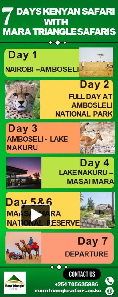 PPT – 7 Days Kenyan Safari with Mara Triangle Safaris (1) PowerPoint presentation | free to ...