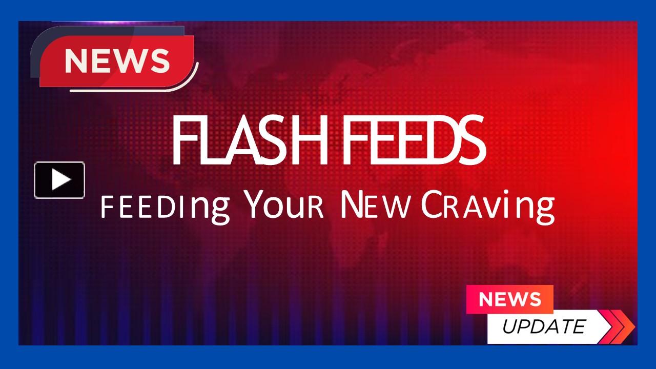 Instant Insight into Today's World presentation | free to download