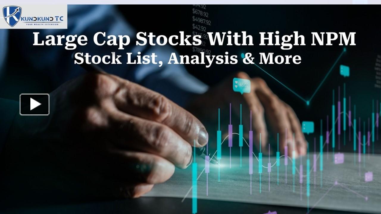 Large Cap Stocks With High NPM presentation | free to download