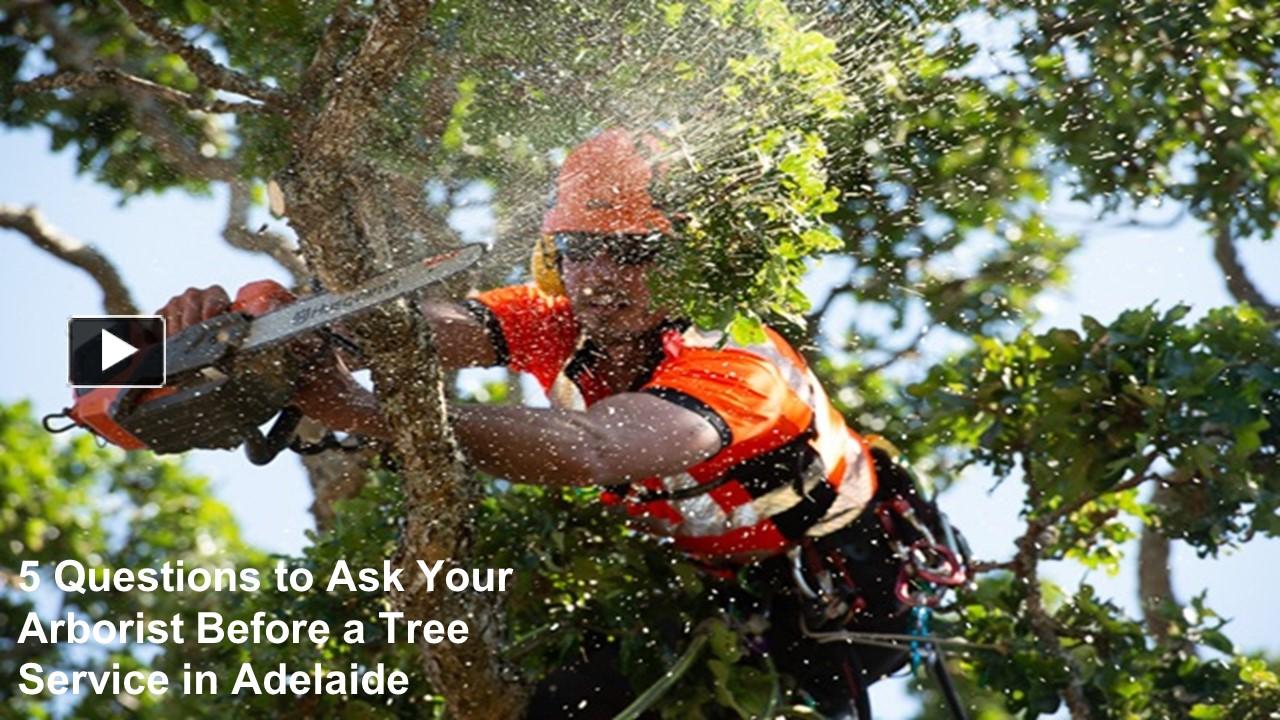 PPT – 5 Questions to Ask Your Arborist Before a Tree Service in ...