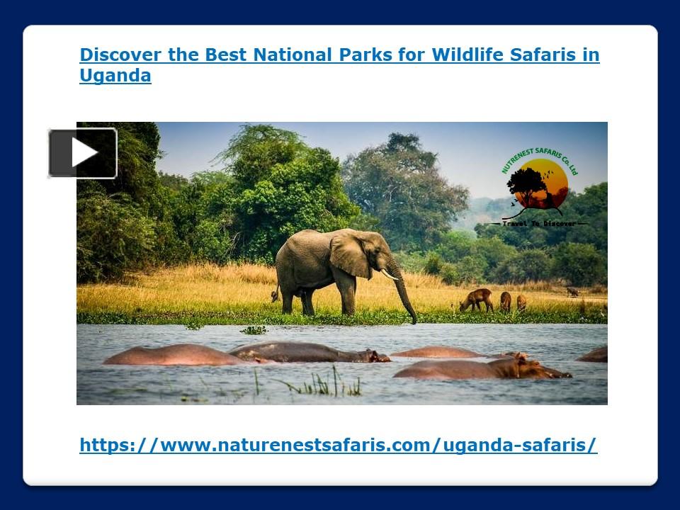 PPT – Discover the Best National Parks for Wildlife Safaris in Uganda PowerPoint presentation ...