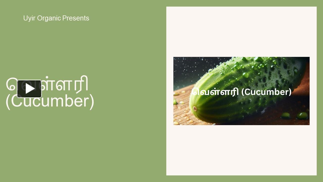 PPT – வெள்ளரி (Cucumber) PowerPoint presentation | free to download - id: 98facd-ZDAyO