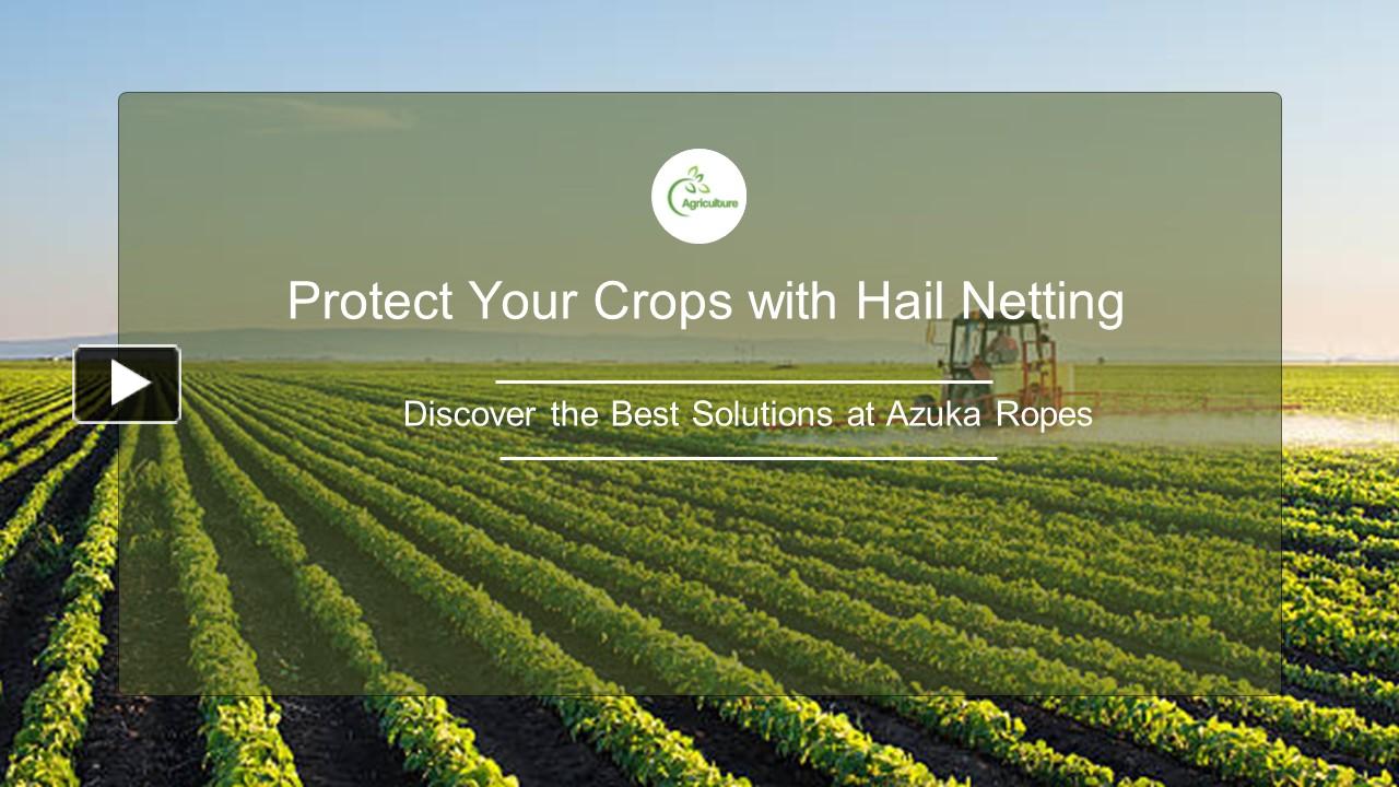 PPT – Protect Your Crops with Hail Netting PowerPoint presentation | free to download - id ...