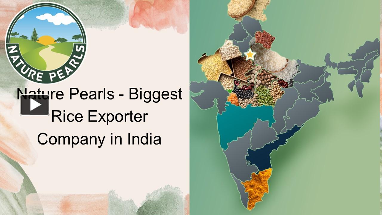 PPT – Nature Pearls - Biggest Rice Exporter Company in India PowerPoint presentation | free to ...