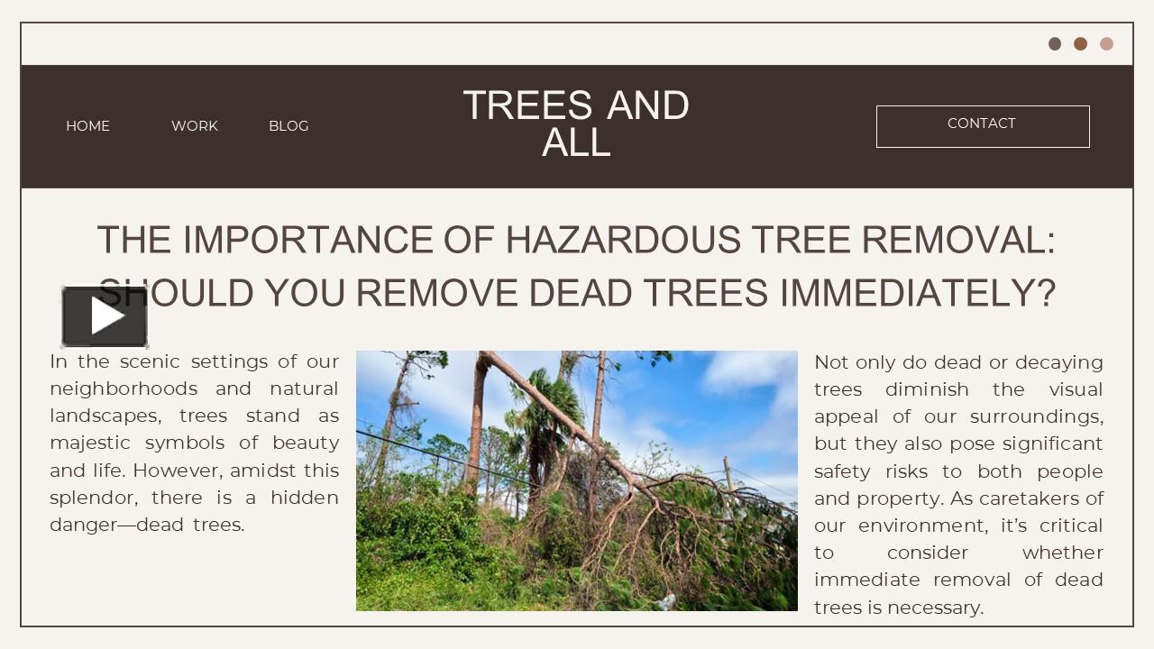PPT – The Importance of Hazardous Tree Removal: Should You Remove Dead Trees Immediately? (1 ...