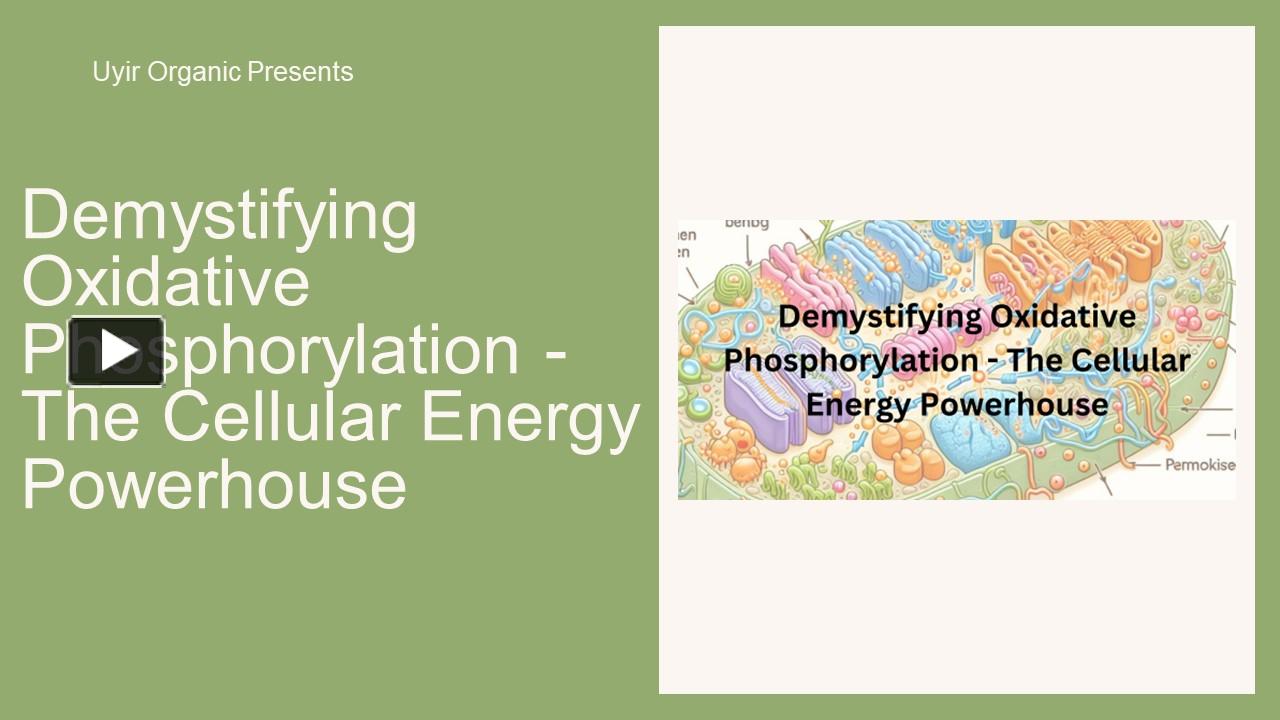 PPT – Demystifying Oxidative Phosphorylation - The Cellular Energy Powerhouse PowerPoint ...