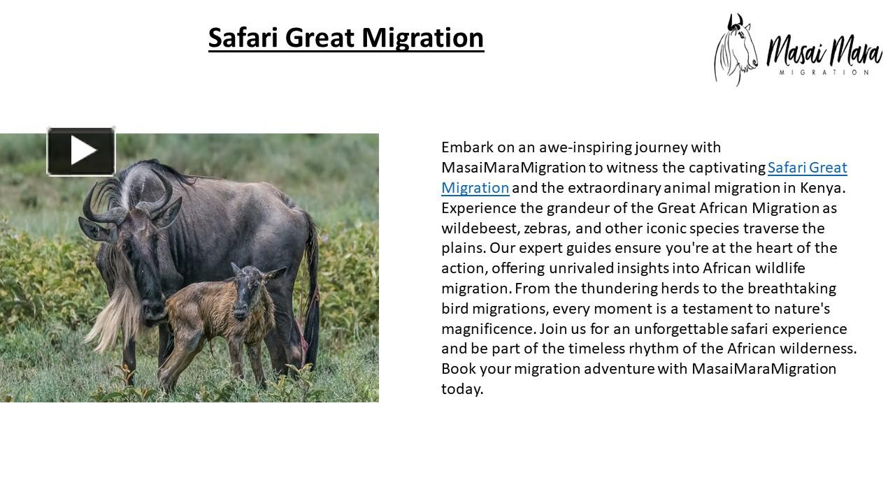 PPT – safari great migration PowerPoint presentation | free to download - id: 995111-NzU2M