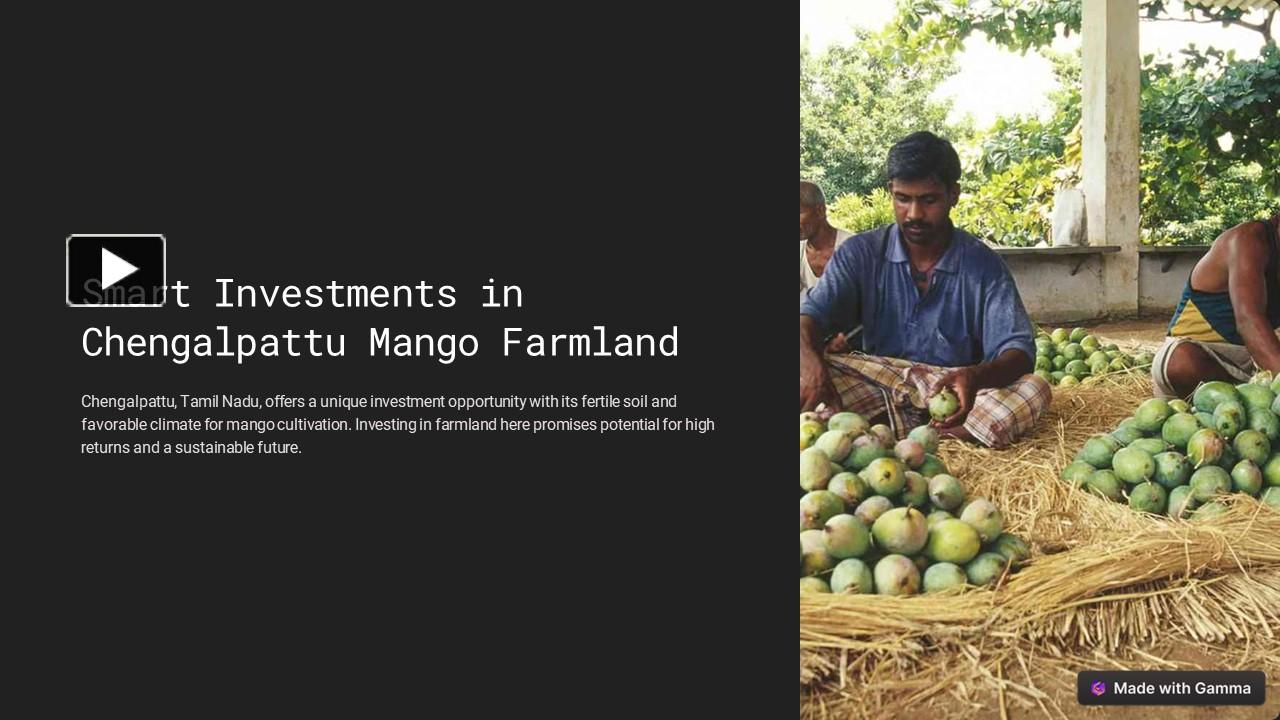 PPT – SMART INVESTMENTS IN CHENGALPATTU MANGO FARMLAND PowerPoint presentation | free to ...