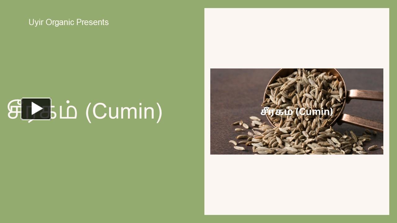 PPT – சீரகம் (Cumin) PowerPoint presentation | free to download - id: 998cd1-MmE3O
