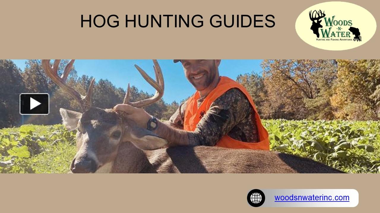 PPT – Hog Hunting Guides PowerPoint presentation | free to download - id: 999df2-MzM5Z