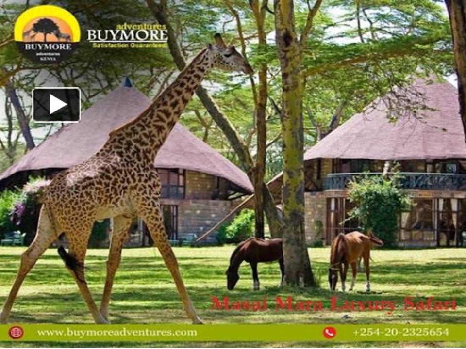 PPT – Luxury Masai Mara Safari Tips for a Memorable Family Vacation PowerPoint presentation ...
