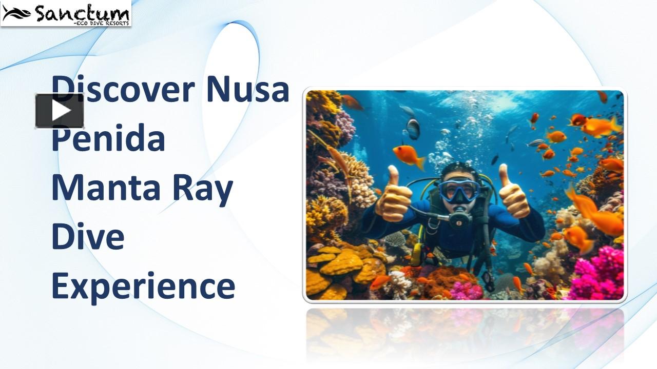 PPT – Discover Nusa Penida: Manta Ray Dive Experience PowerPoint presentation | free to download ...