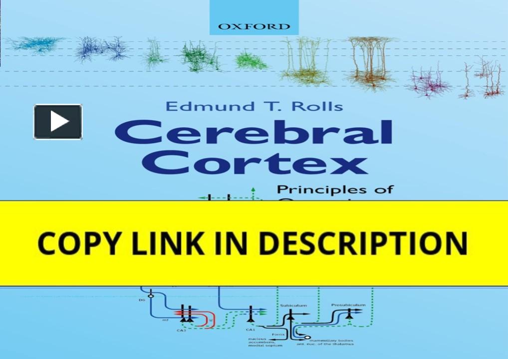 PPT – READ [PDF] Cerebral Cortex: Principles of Operation PowerPoint presentation | free to ...