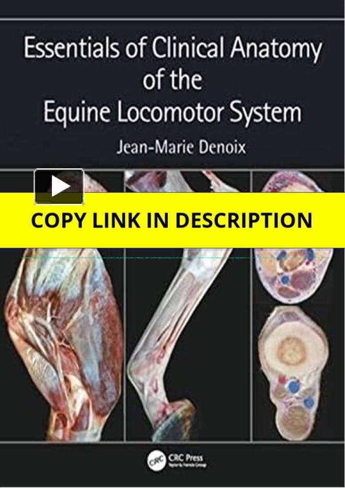 PPT – PDF Essentials of Clinical Anatomy of the Equine Locomotor System 1st Edition Android ...