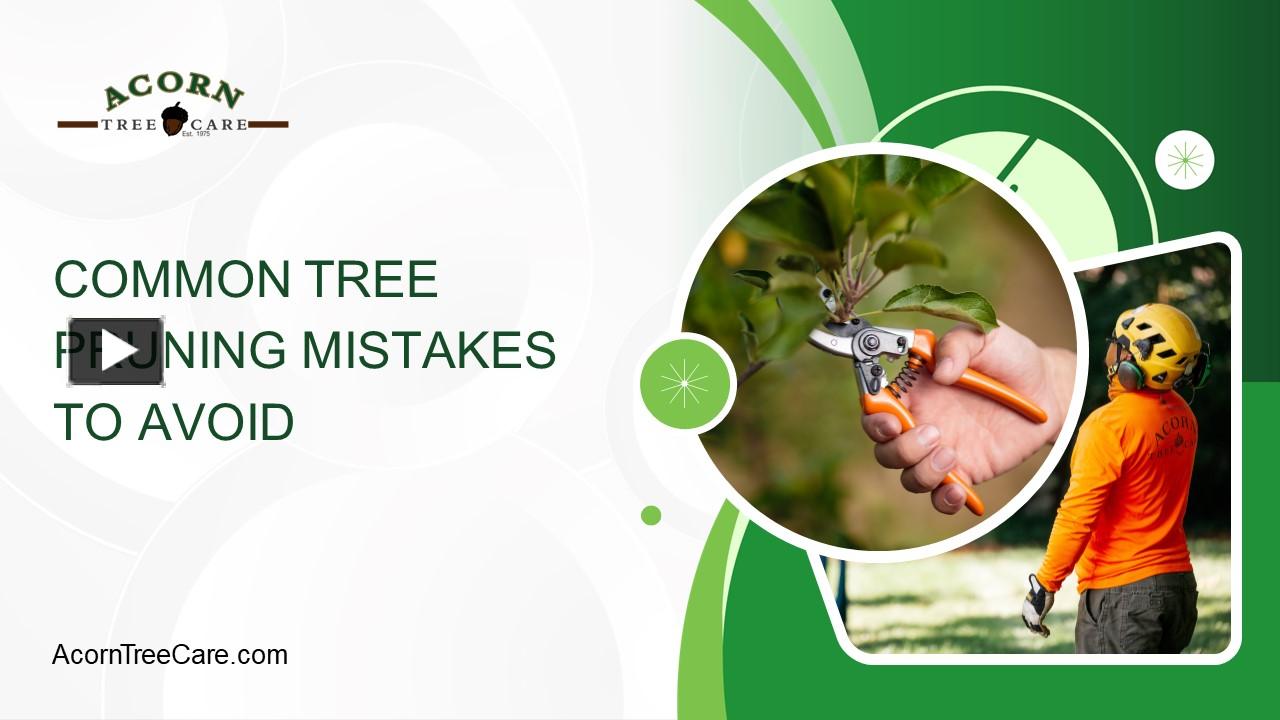 Common Tree Pruning Mistakes to Avoid presentation | free to view