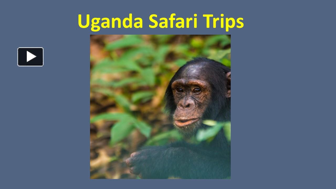 PPT – Uganda Safari Trips (1) PowerPoint presentation | free to download - id: 9ab5d0-MzMyM