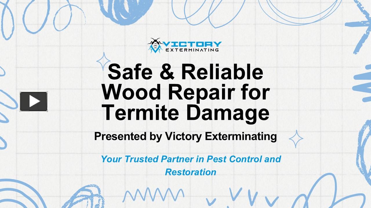 Safe & Reliable Wood Repair for Termite Damage presentation | free to download