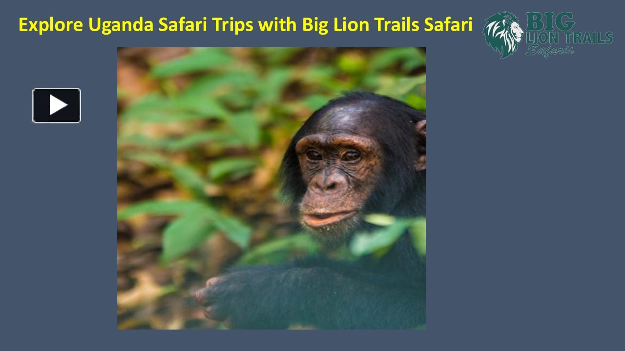 PPT – Explore Uganda Safari Trips with Big Lion Trails Safari ...