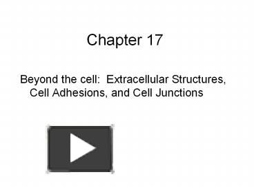 Beyond the cell: Extracellular Structures, Cell Adhesions, and Cell ...