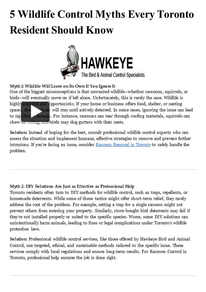 PPT – 5 Wildlife Control Myths Every Toronto Resident Should Know PowerPoint presentation | free ...