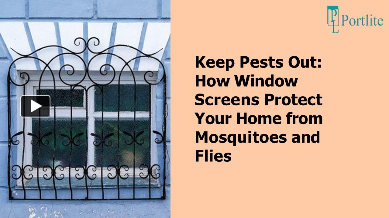 PPT – Keep Pests Out: How Window Screens Protect Your Home from Mosquitoes and Flies PowerPoint ...