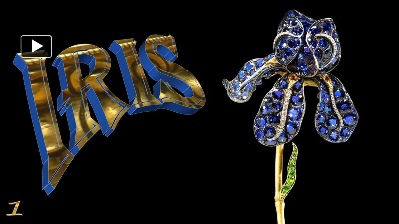 PPT – Iris, the spring jewel1 (flowers in art) PowerPoint presentation | free to view - id ...