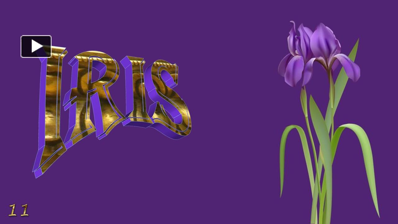 PPT – Iris, the spring jewel11 (Flowers in Art) PowerPoint presentation | free to view - id ...