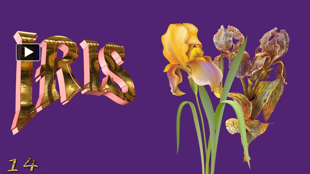 PPT – Iris, the spring jewel14 (Flowers in Art) PowerPoint presentation | free to view - id ...