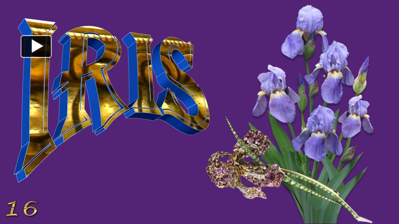 PPT – Iris, the spring jewel16 (Flowers in Art) PowerPoint presentation | free to view - id ...