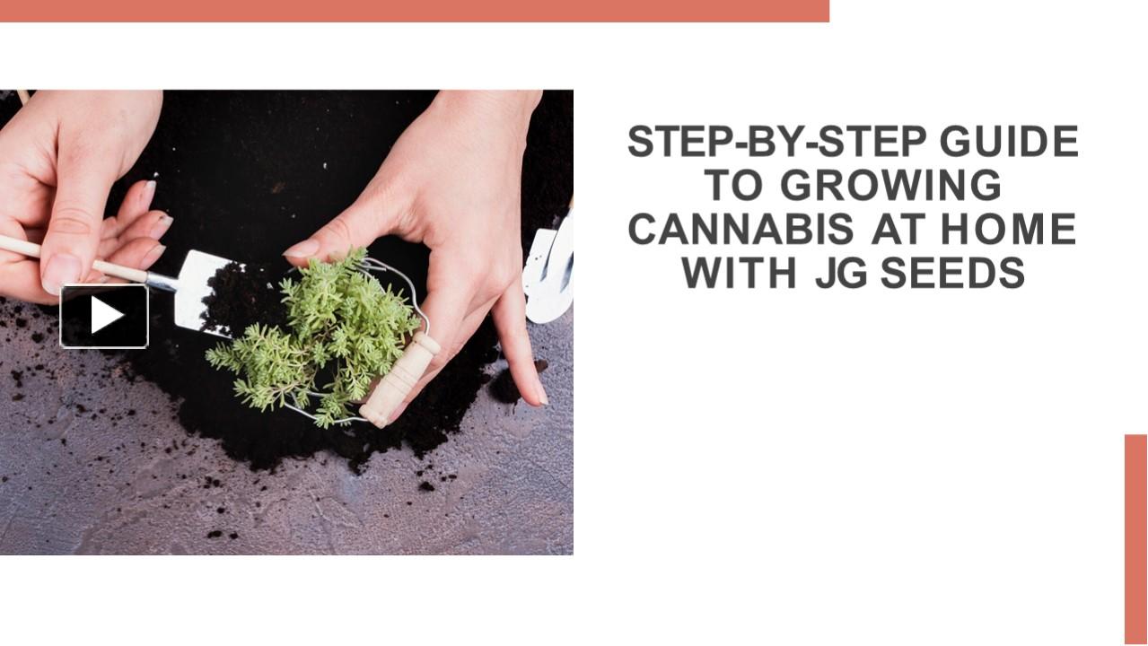 PPT – Step-by-Step Guide to Growing Cannabis at Home with JG Seeds PowerPoint presentation ...