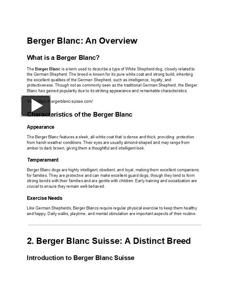 PPT – Berger Blanc_ An Overview PowerPoint presentation | free to download - id: 9ca03b-ZTYyZ