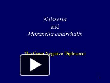 Neisseria and Moraxella catarrhalis presentation | free to view